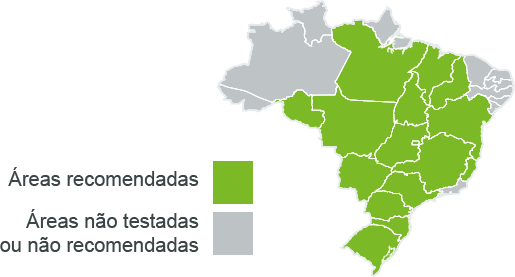 SHU 4404 - Shull Seeds